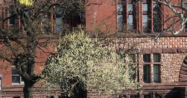 Announcement: CLSE Career Series Presentation | Center for Life ...